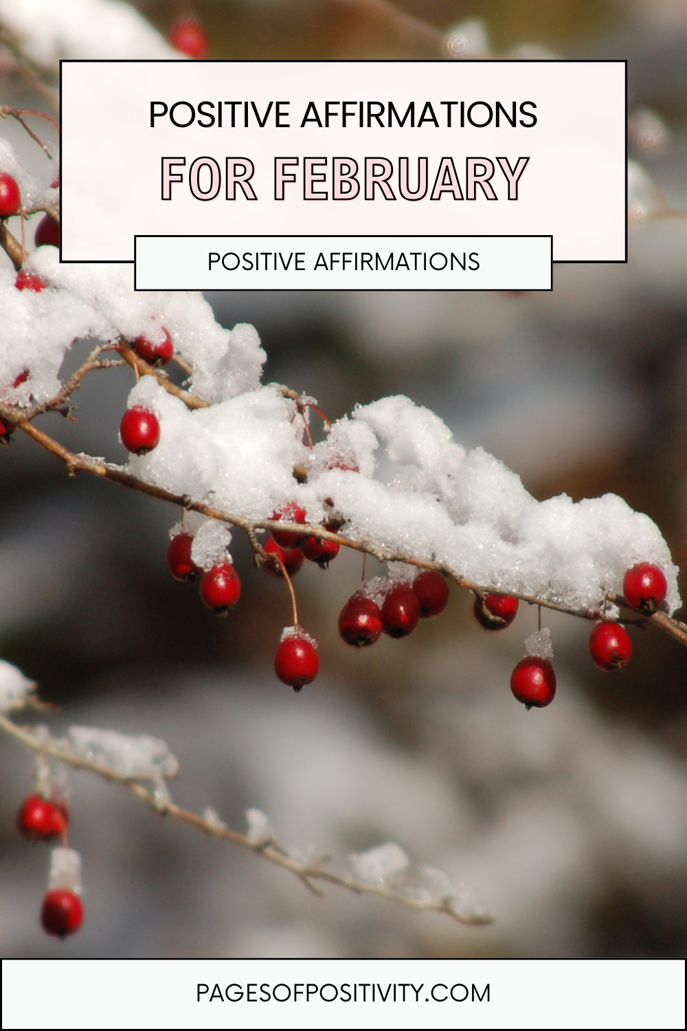 100 Powerful February Affirmations That You’ll Love